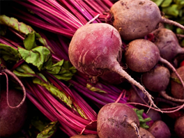 Уход за перцами, баклажанами и томатами на подоконнике